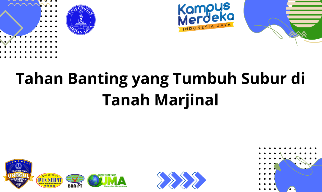 Tahan Banting yang Tumbuh Subur di Tanah Marjinal - P3BMS